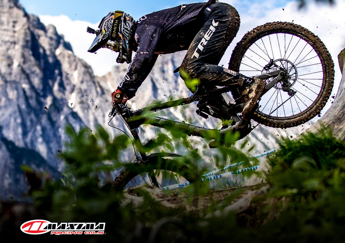 CATALOGS – MaximaUsa